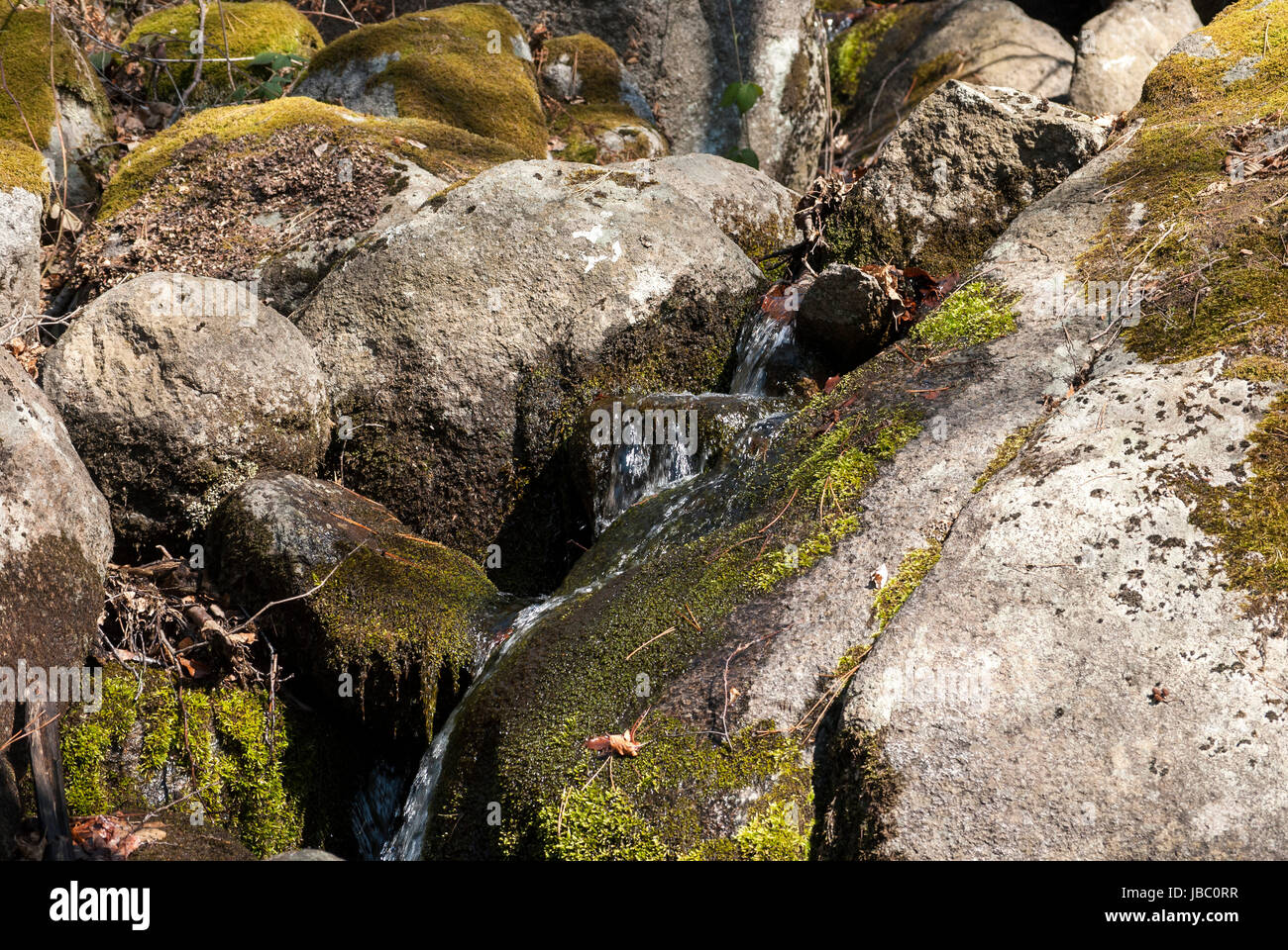 Rock bouncing on water hi-res stock photography and images - Alamy