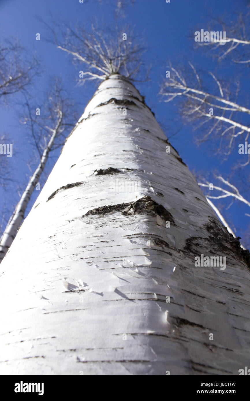 Britch hi-res stock photography and images - Alamy