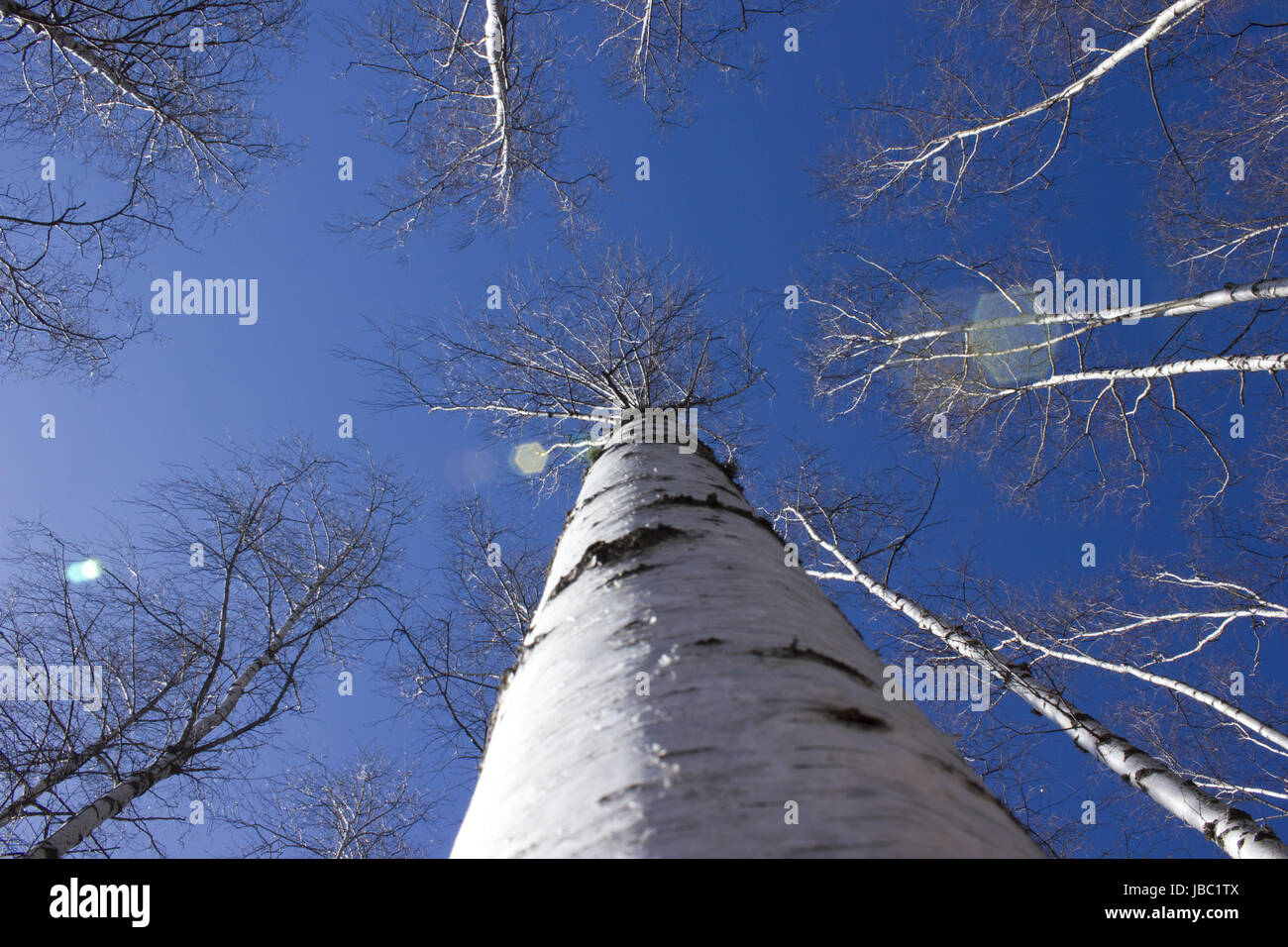 Britch hi-res stock photography and images - Alamy
