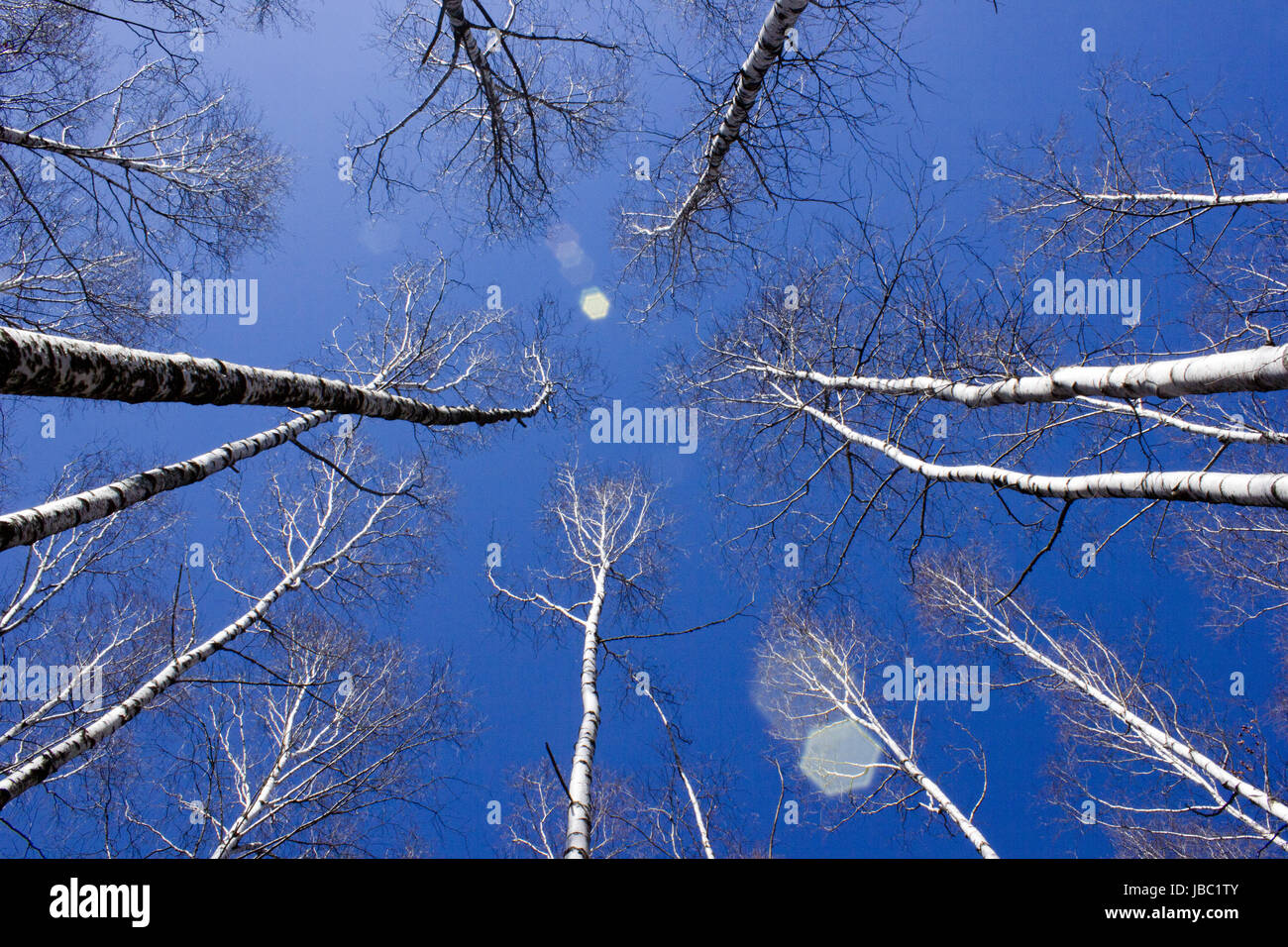 Britch hi-res stock photography and images - Alamy
