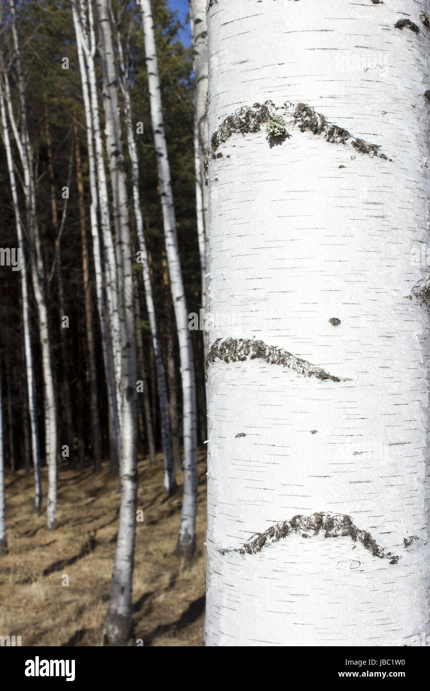 Britch hi-res stock photography and images - Alamy