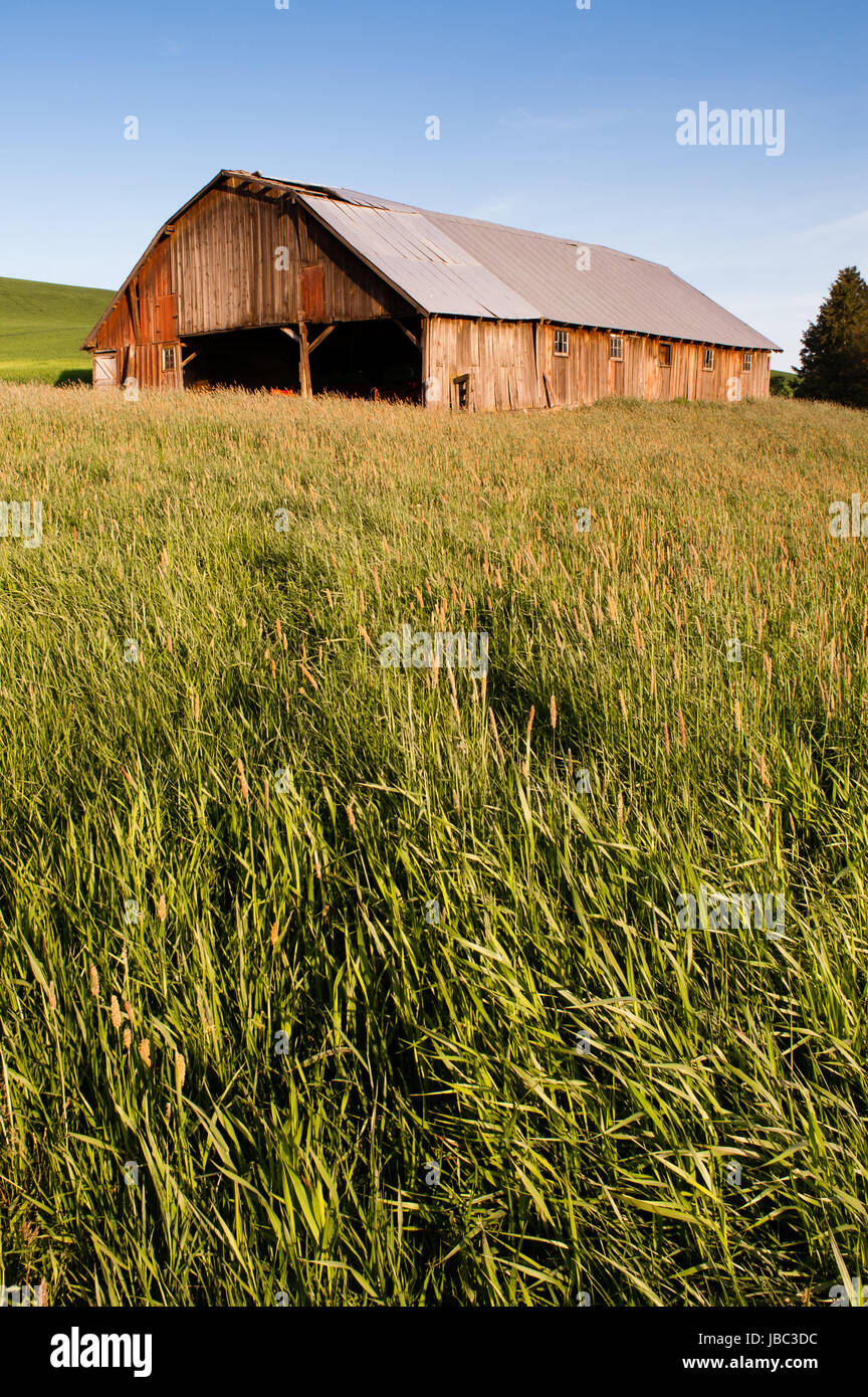 Lush green pllant landscape farm field barn Stock Photo - Alamy