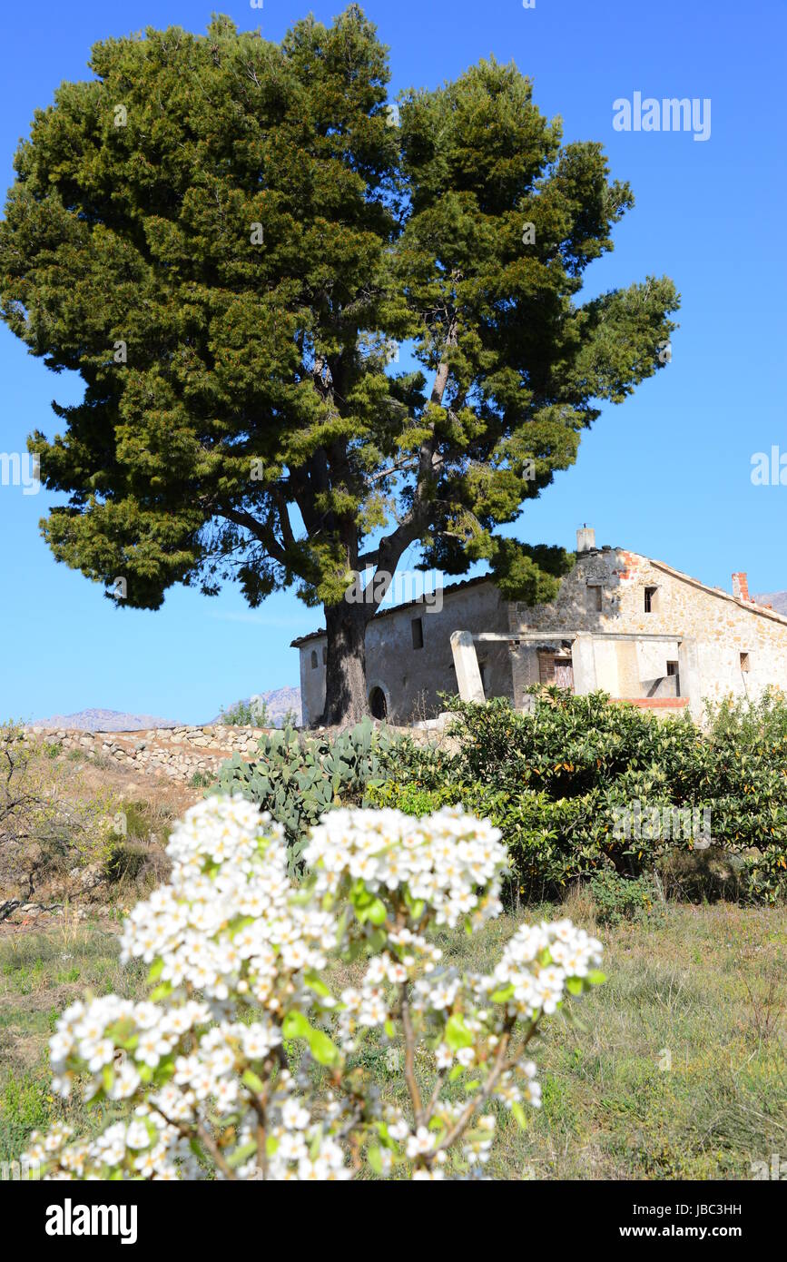 old finca in spain - alicante Stock Photo - Alamy