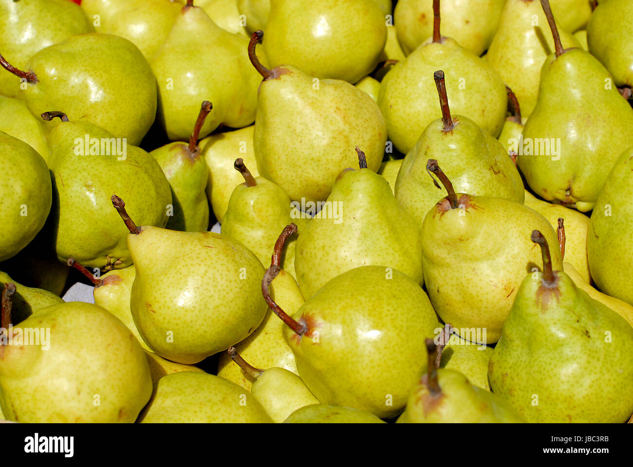 Freshly picked green pears on display at the farmer's market Stock ...