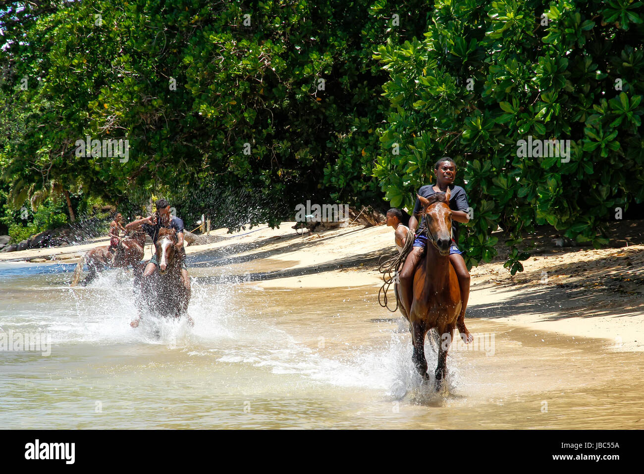 Tropical island horse racing hi-res stock photography and images - Alamy