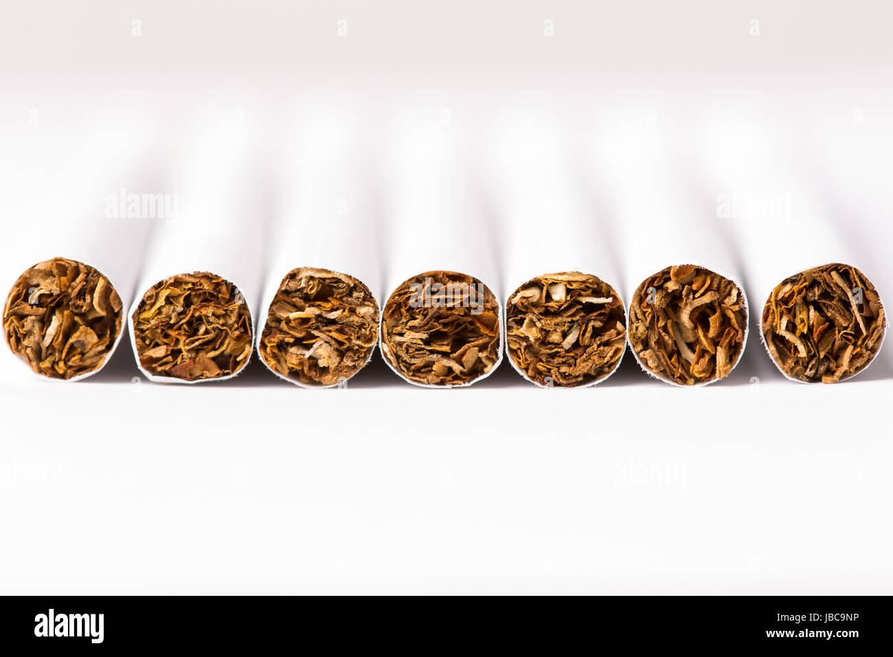 Closeup of cigarettes in a row on white background Stock Photo - Alamy