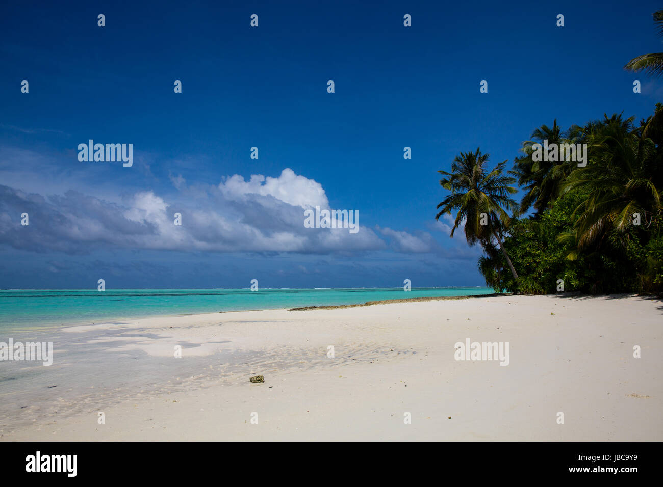 Peaceful beach in the Maldives in the Indian Ocean, Lush green ...