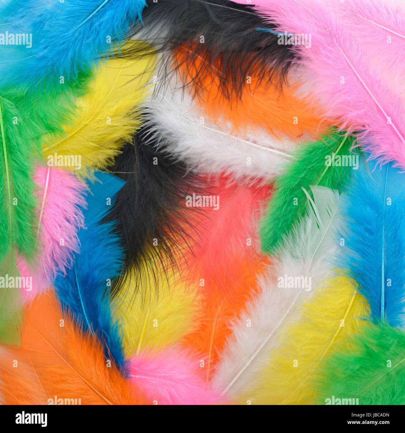 Colorful Feathers Close Up For Background Stock Photo - Alamy