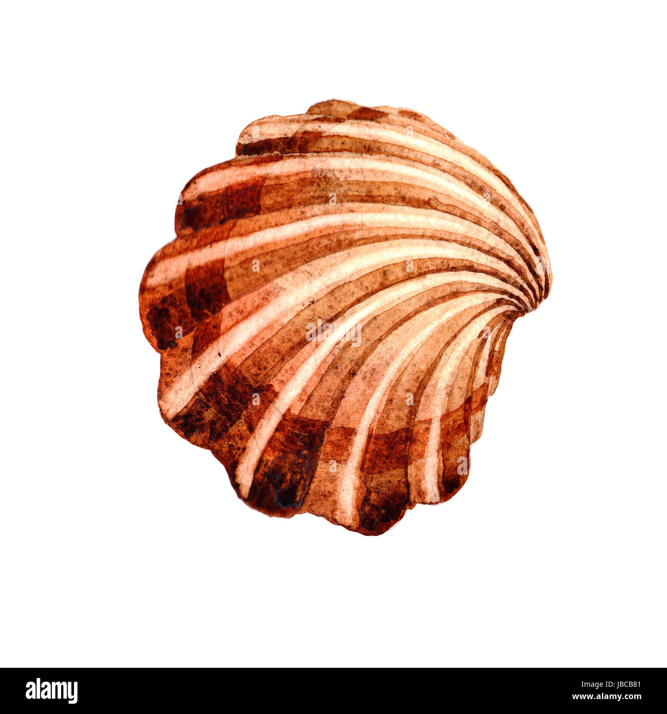 Watercolor summer beach seashell tropical elements. Underwater ...