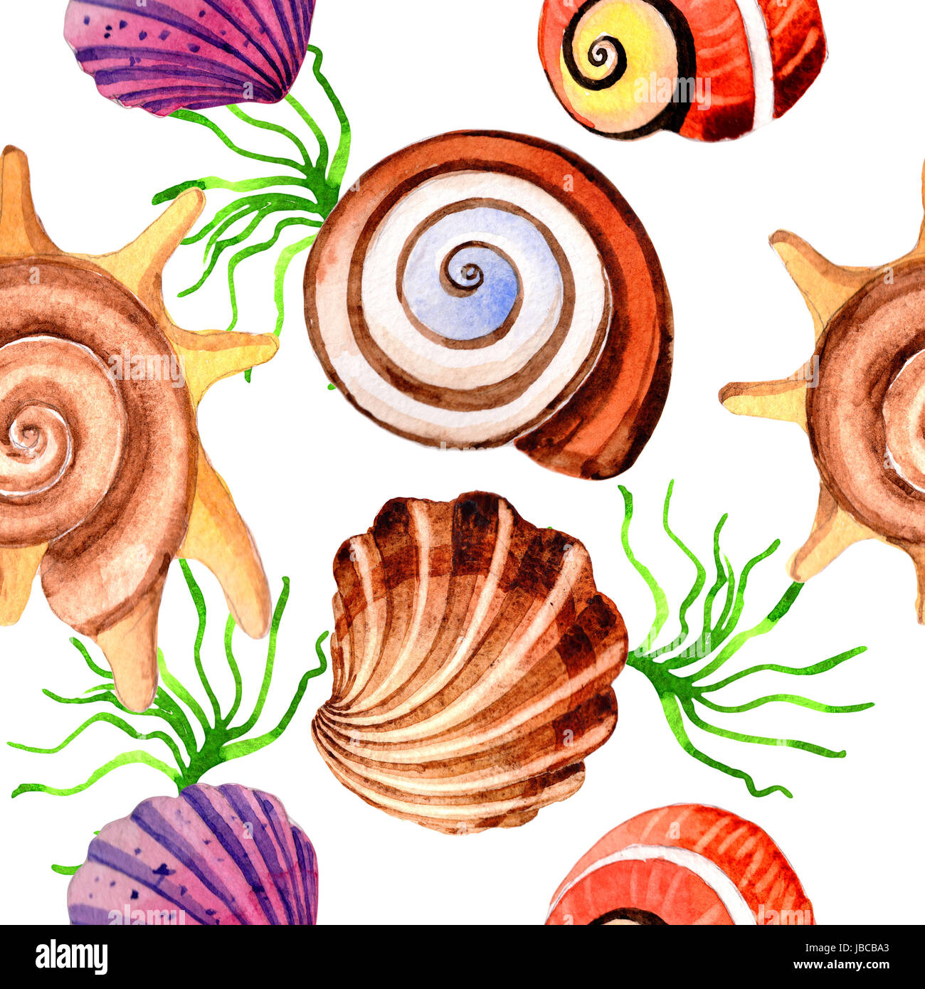 Watercolor summer beach seashell tropical elements pattern. Underwater ...