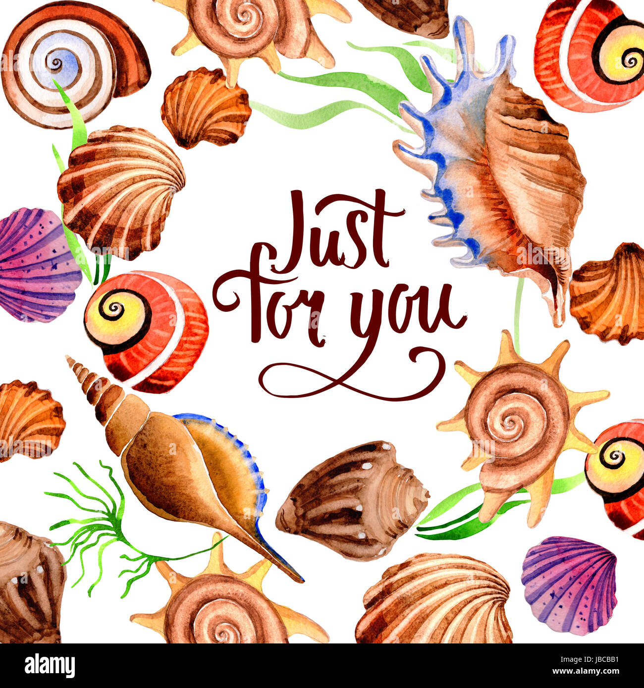 Watercolor summer beach seashell tropical elements frame. Underwater ...