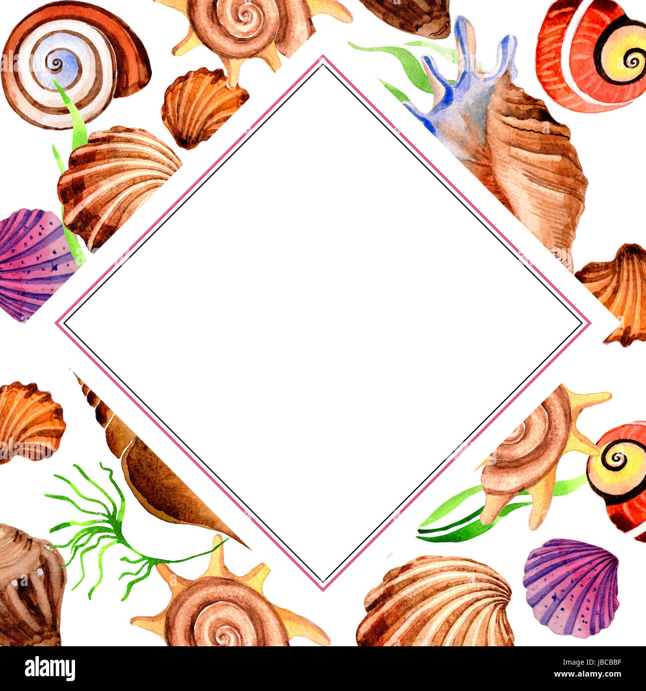Watercolor summer beach seashell tropical elements frame. Underwater ...