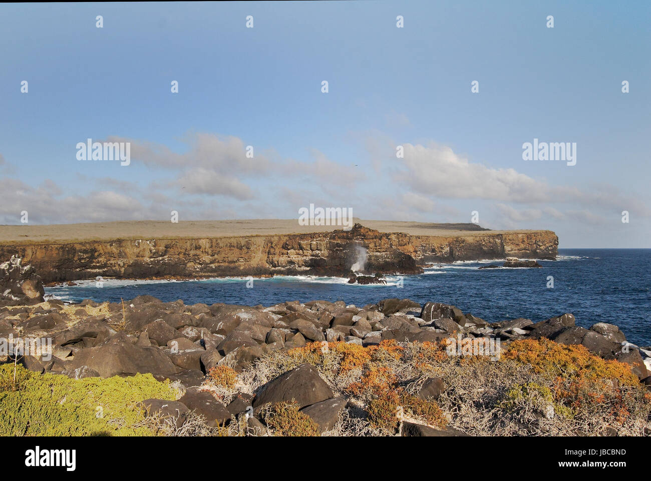 Punta Suarez landscape, Espanola, Galapagos Islands, Ecuador Stock ...