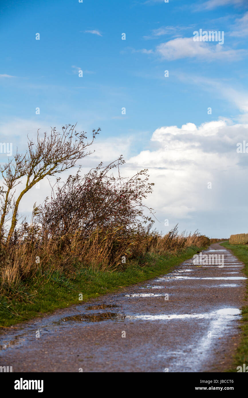leere straße weg im grünen mit blauem himmel natur weg sommer Stock ...