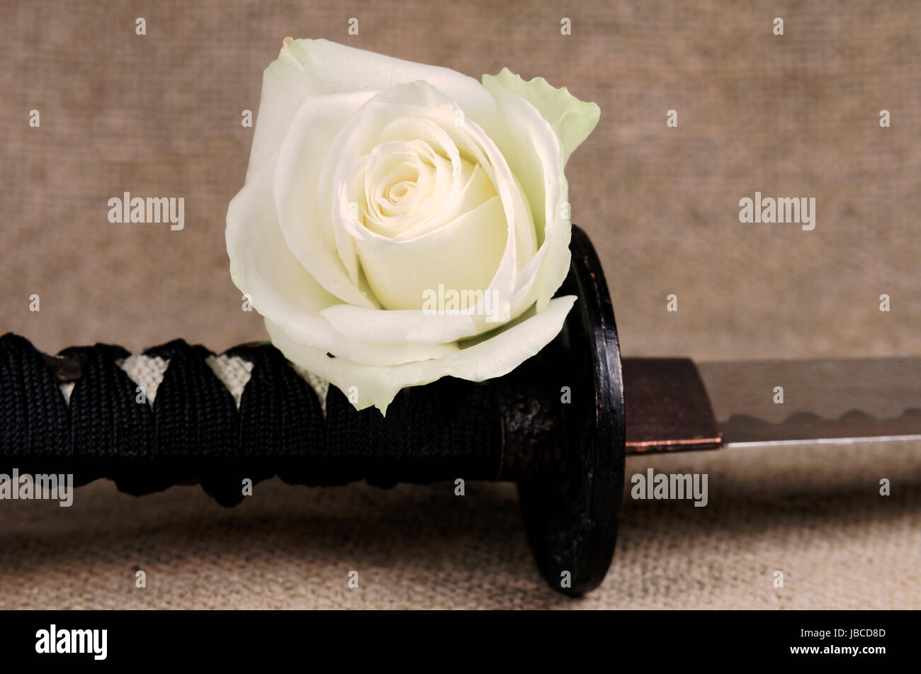 Samurai rose hi-res stock photography and images - Alamy