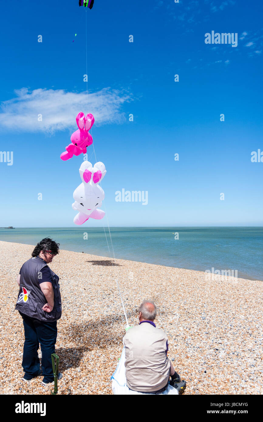 Two bunny shaped inflated kites, one white, other pink, flying against ...