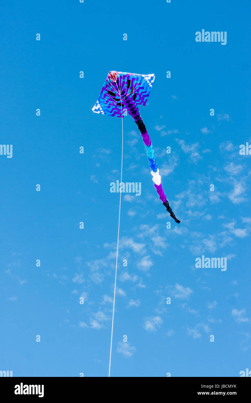 Blue stingray fish shape kite floating overhead against a blue sky ...
