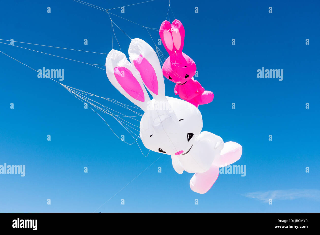 Inflated rabbits hi-res stock photography and images - Alamy