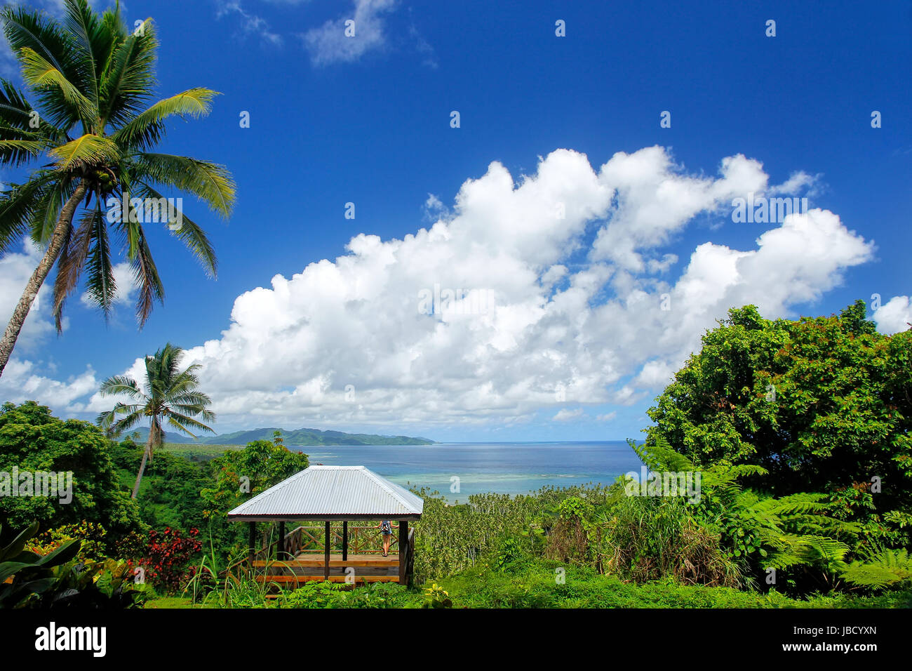 Cloud forest taveuni fiji hi-res stock photography and images - Alamy