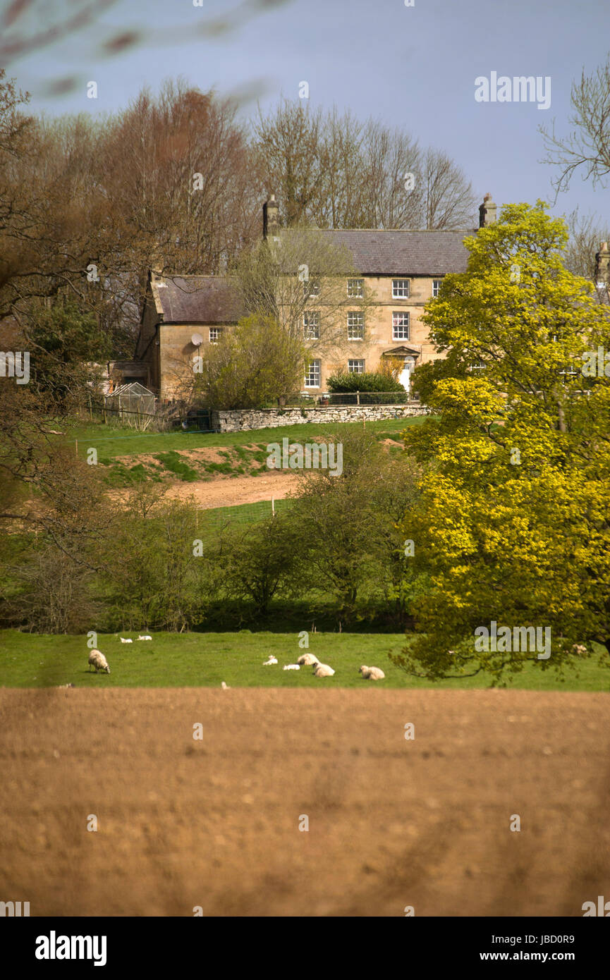 Chipchase castle, Northumberland Stock Photo - Alamy