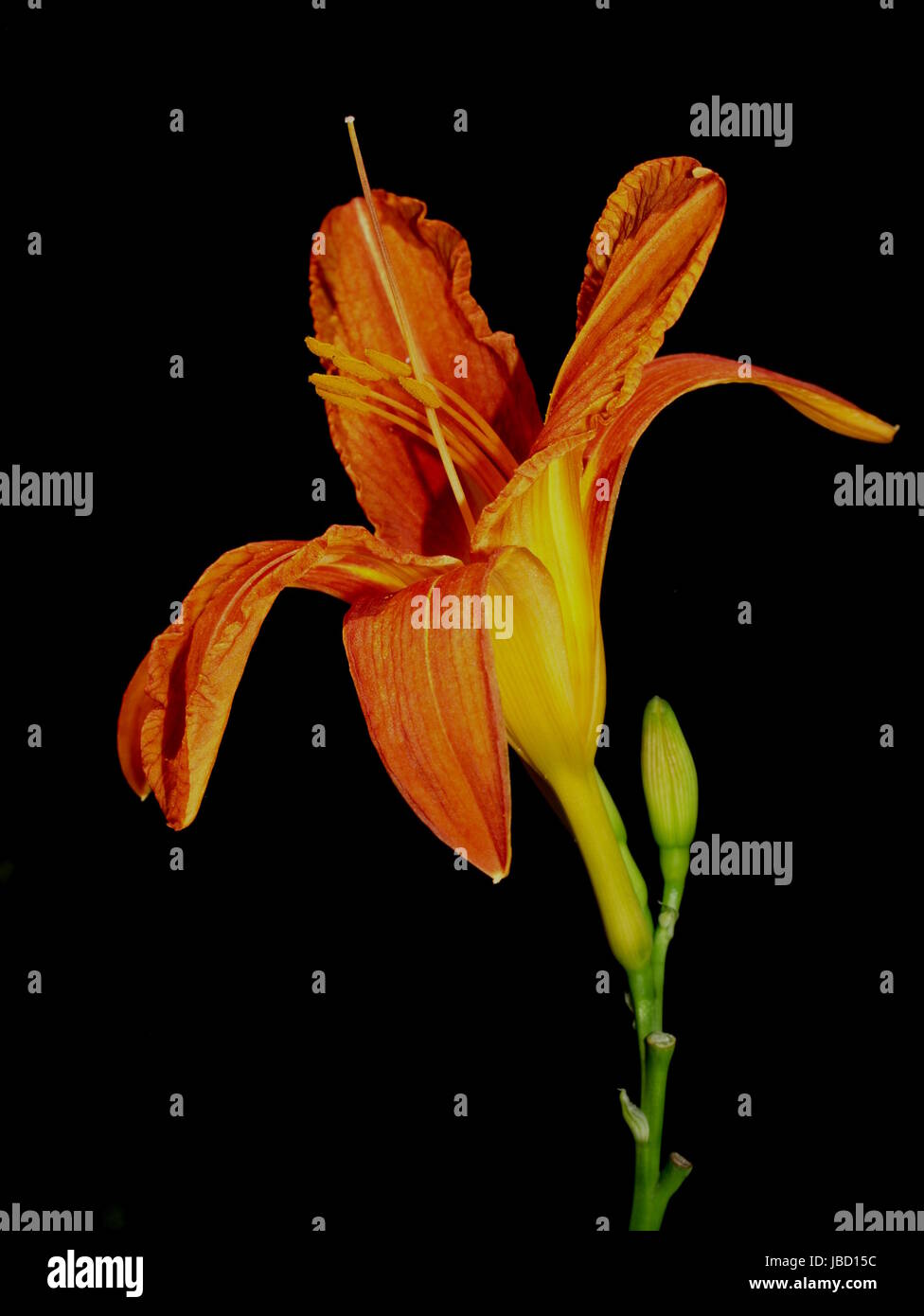 several a few Stock Photo - Alamy