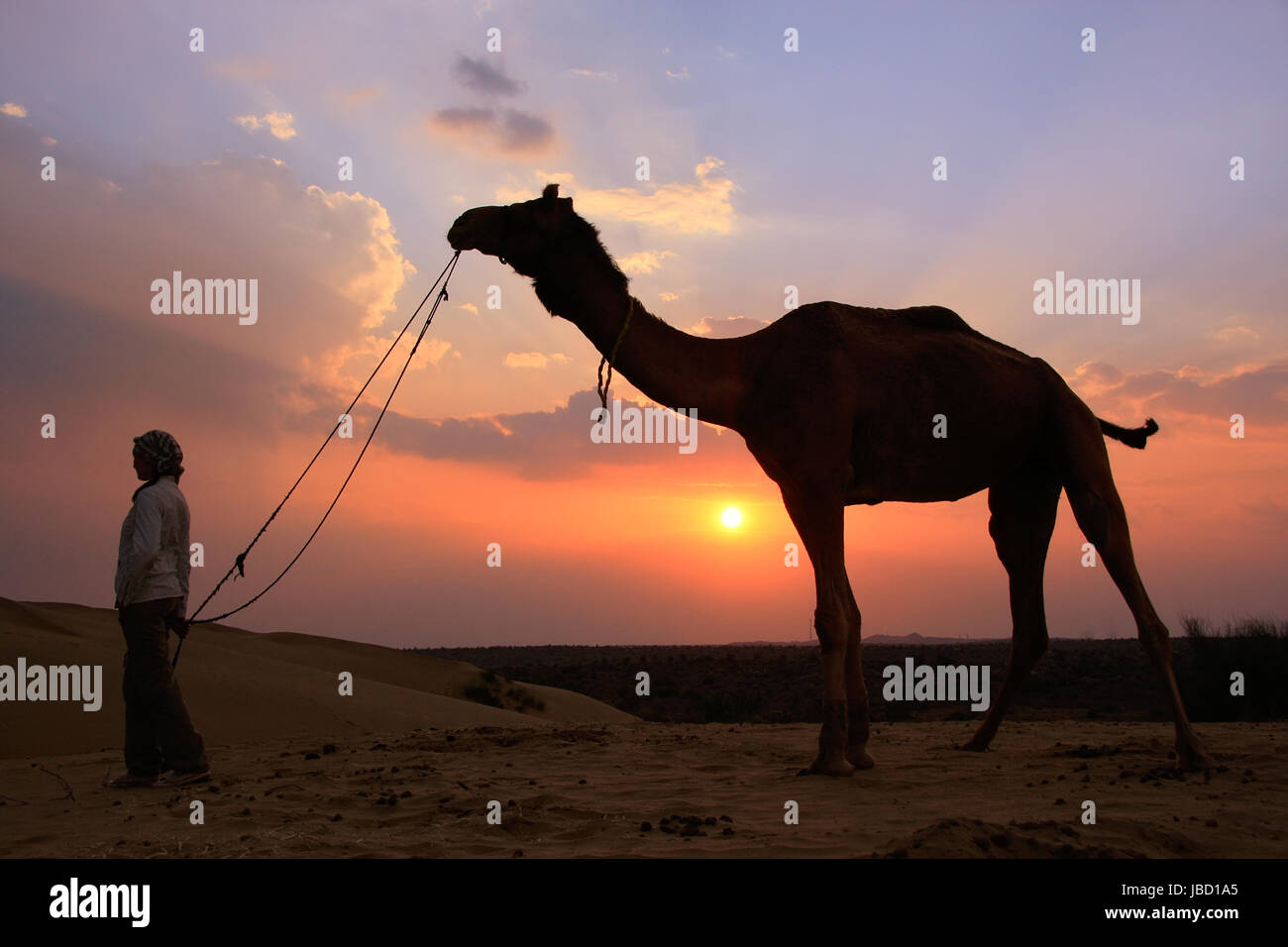 Silhouetted person with a camel at sunset, Thar desert near Jaisalmer ...