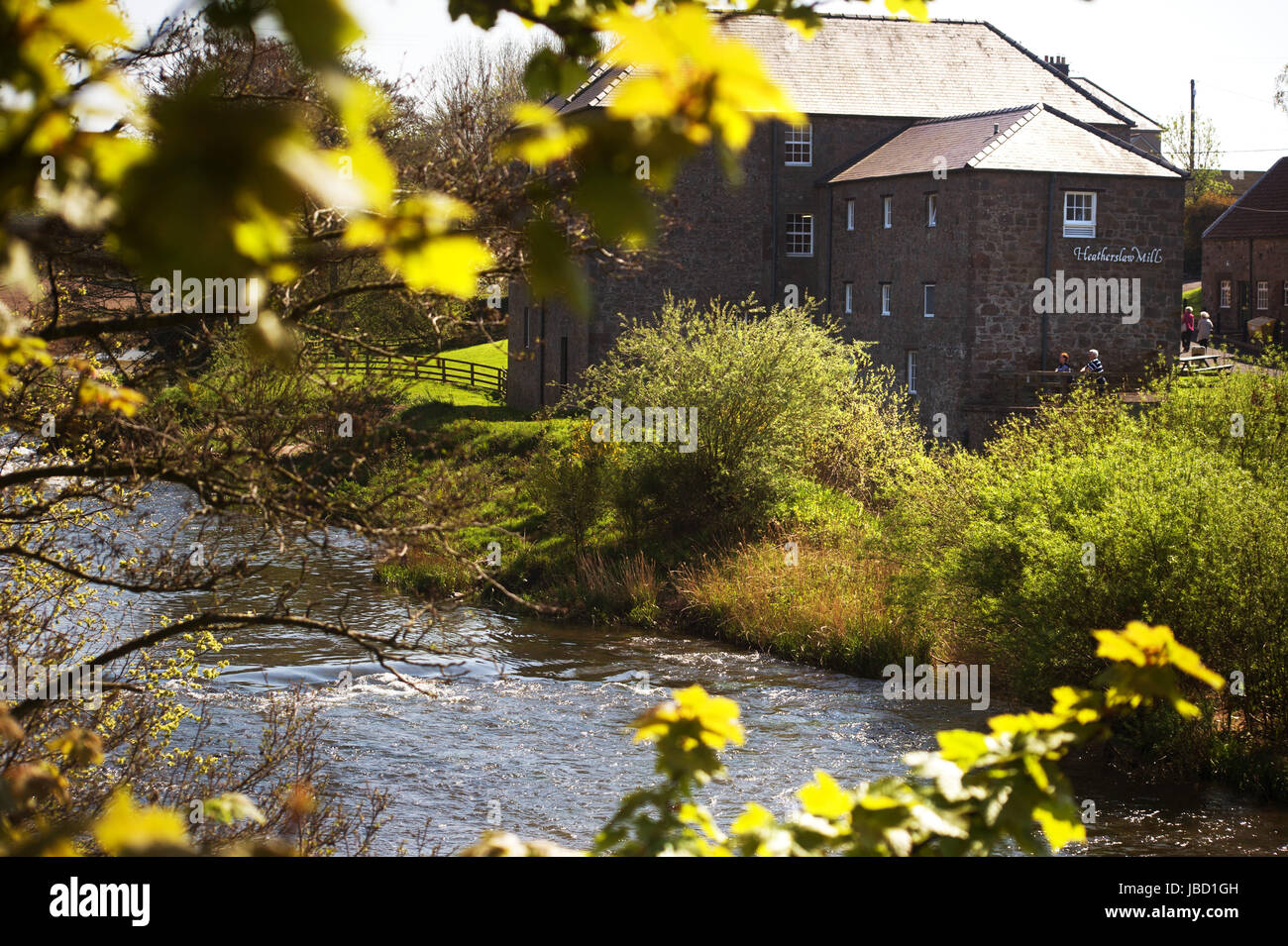 Northumberland river till water hi-res stock photography and images - Alamy