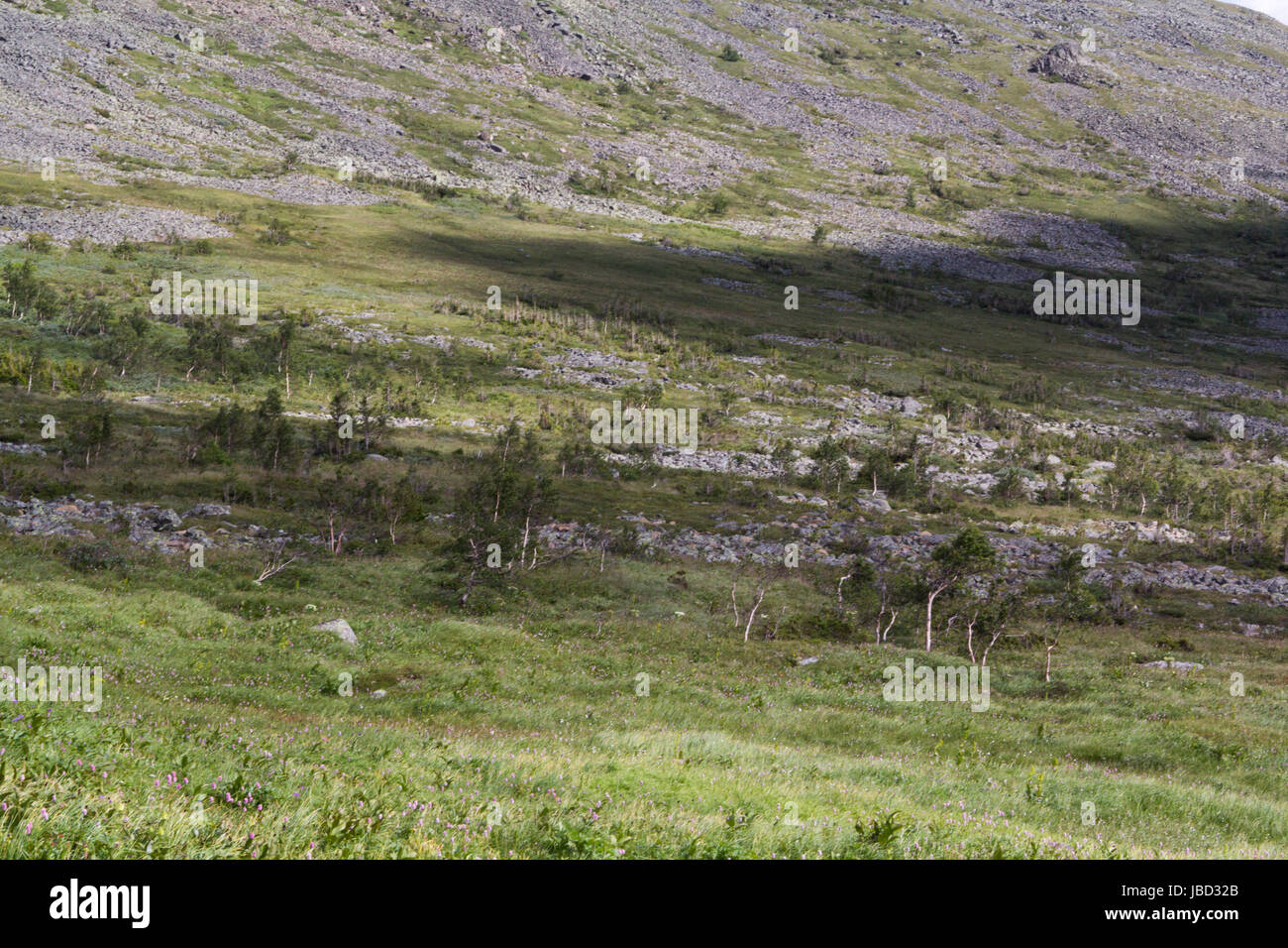 Panoramic view of the mountains and cliffs, South Ural. Summer in the ...