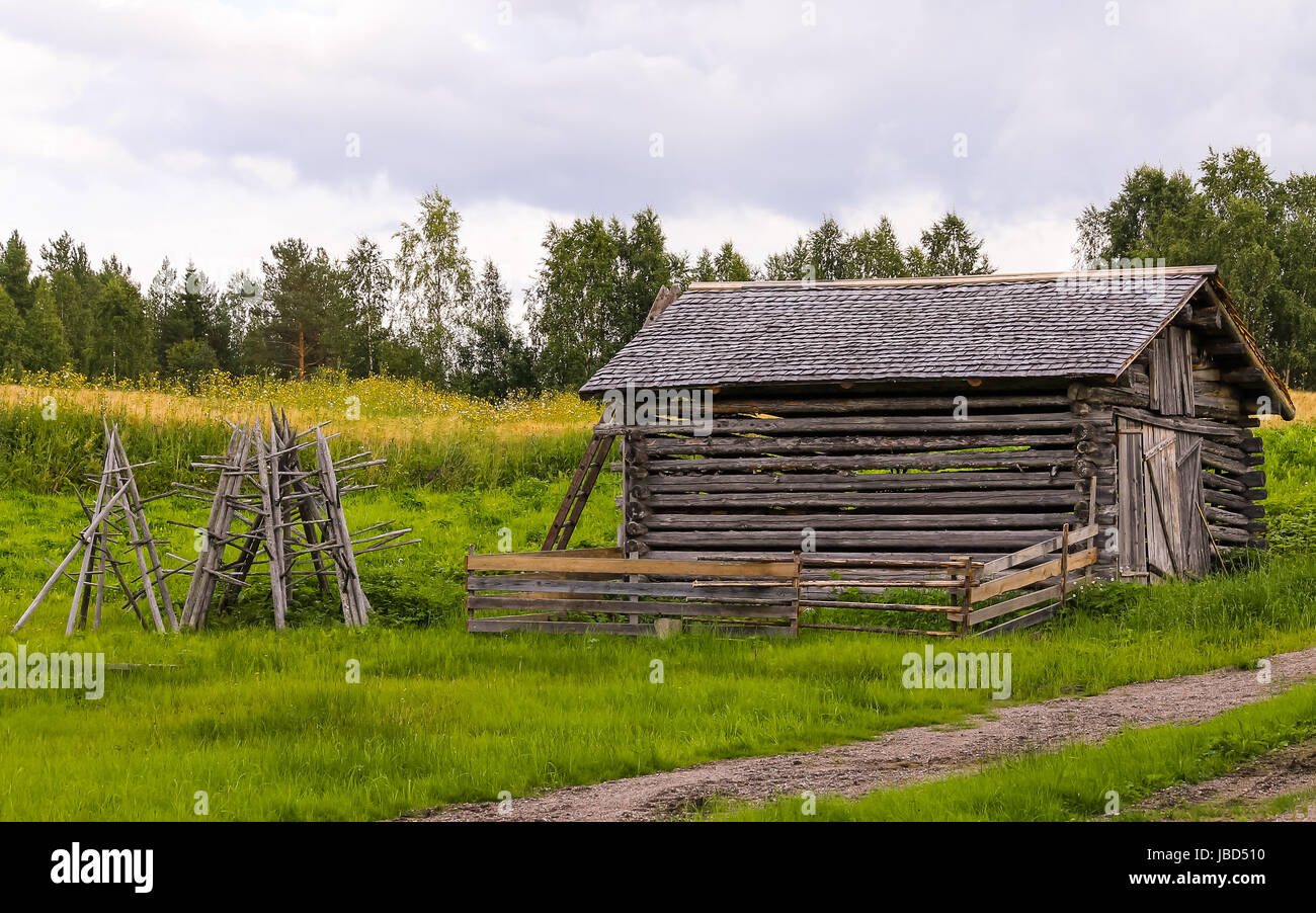 Traditional wood shed with hay poles for drying the hay the old way ...