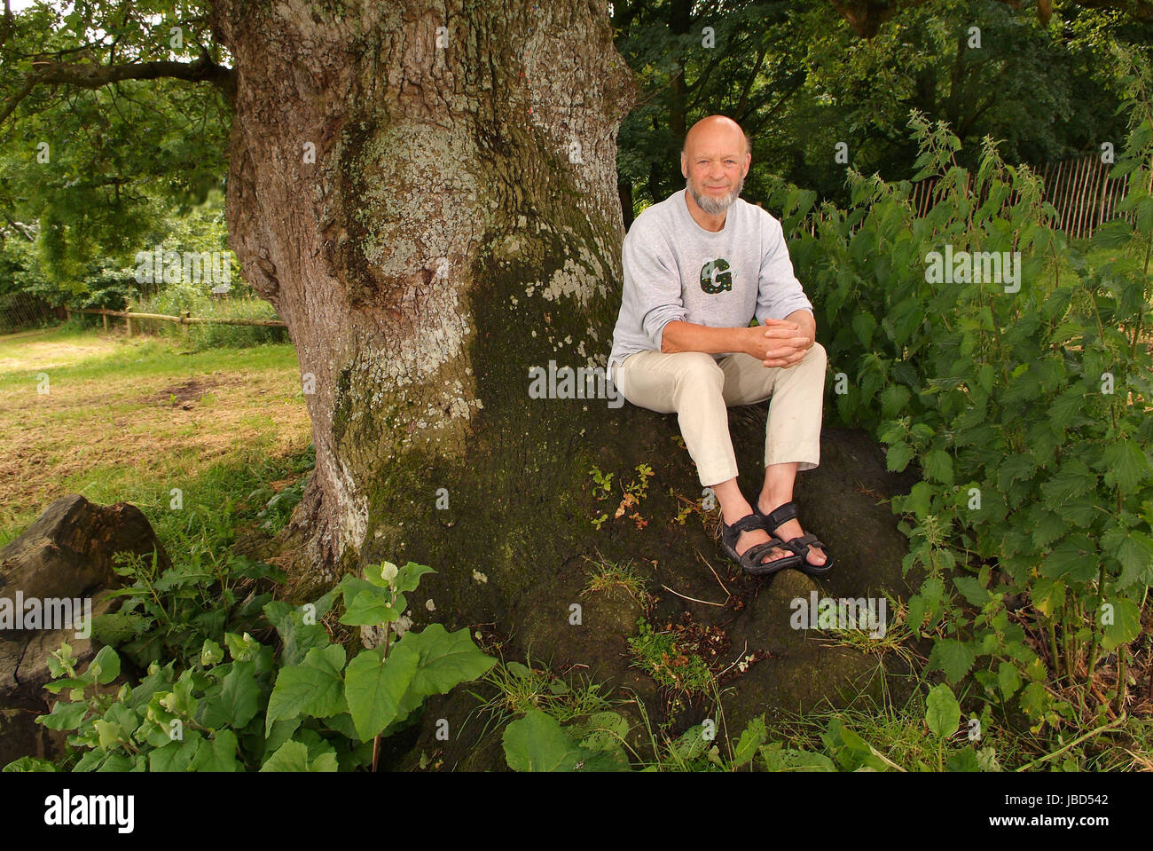 Michael Eavis, farmer and founder of the Glastonbury Festival in ...
