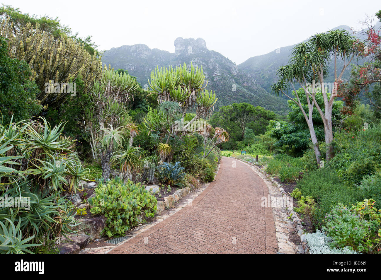 Kirstenbosch Botanical Garden in Cape Town, South African Republic ...