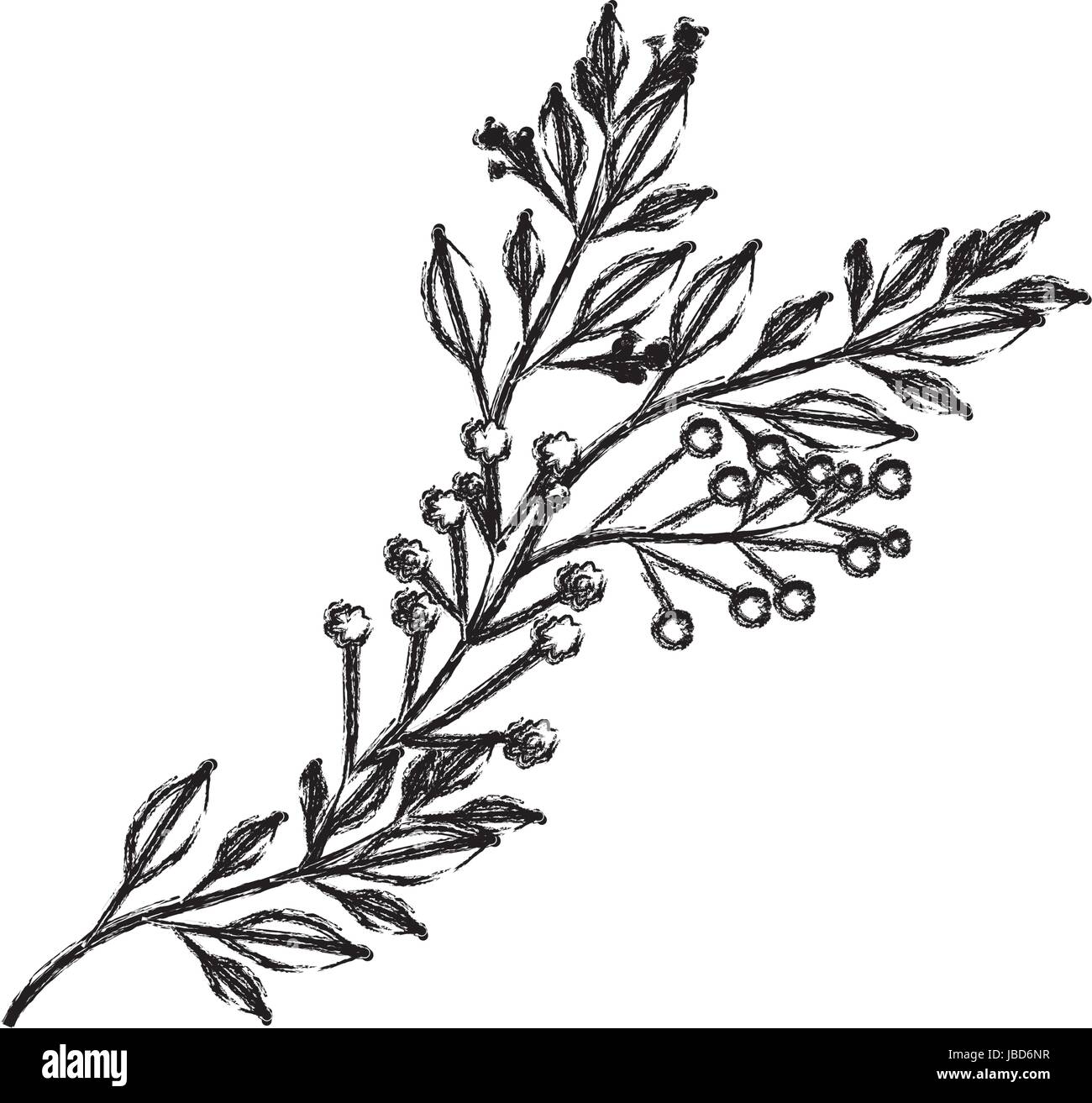 monochrome blurred silhouette of branch with leaves and small flowers ...