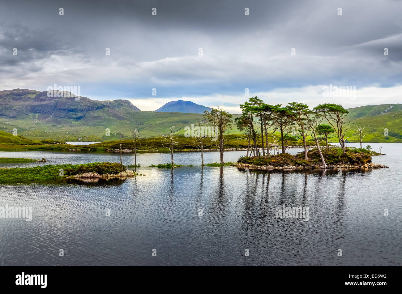landscape view of trees in a lake at Scottish highlands, United Kingdom ...