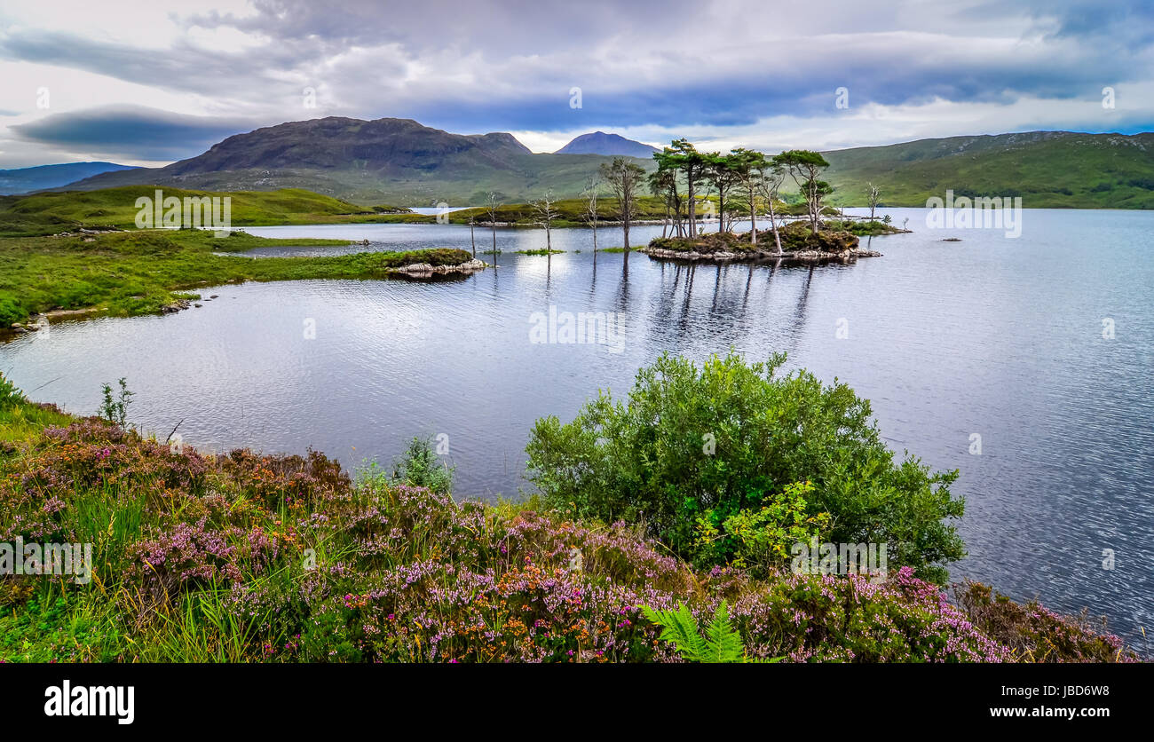 Landscape view of trees in a lake at Scottish highlands, United Kingdom ...