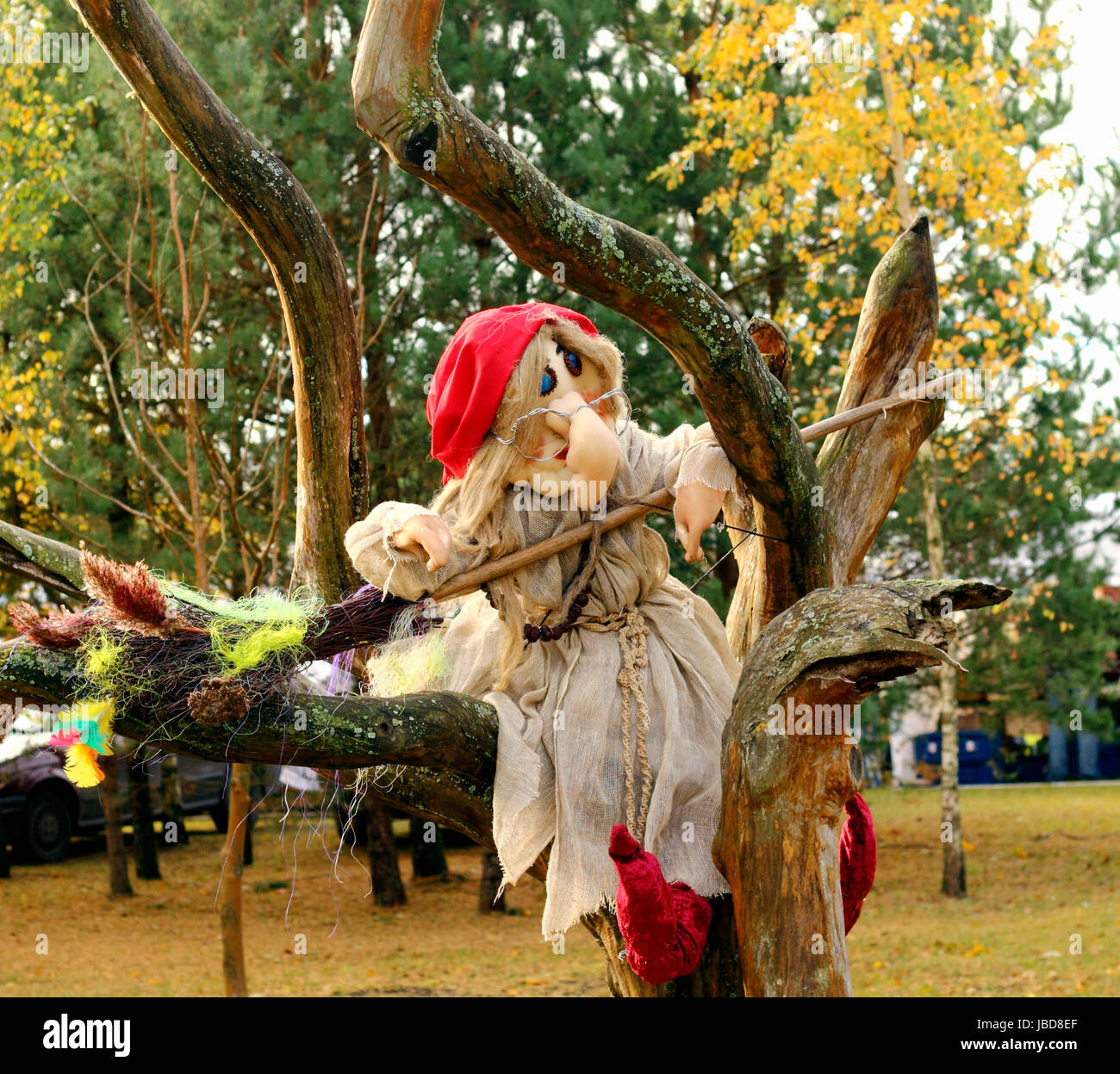 This is a witch sitting on the tree branch Stock Photo - Alamy