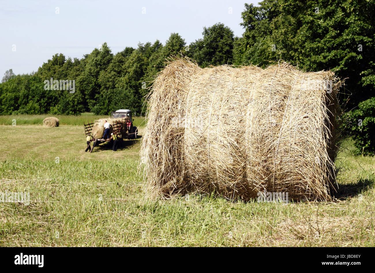 Haymaking farmers It is the first important summer job Stock Photo - Alamy
