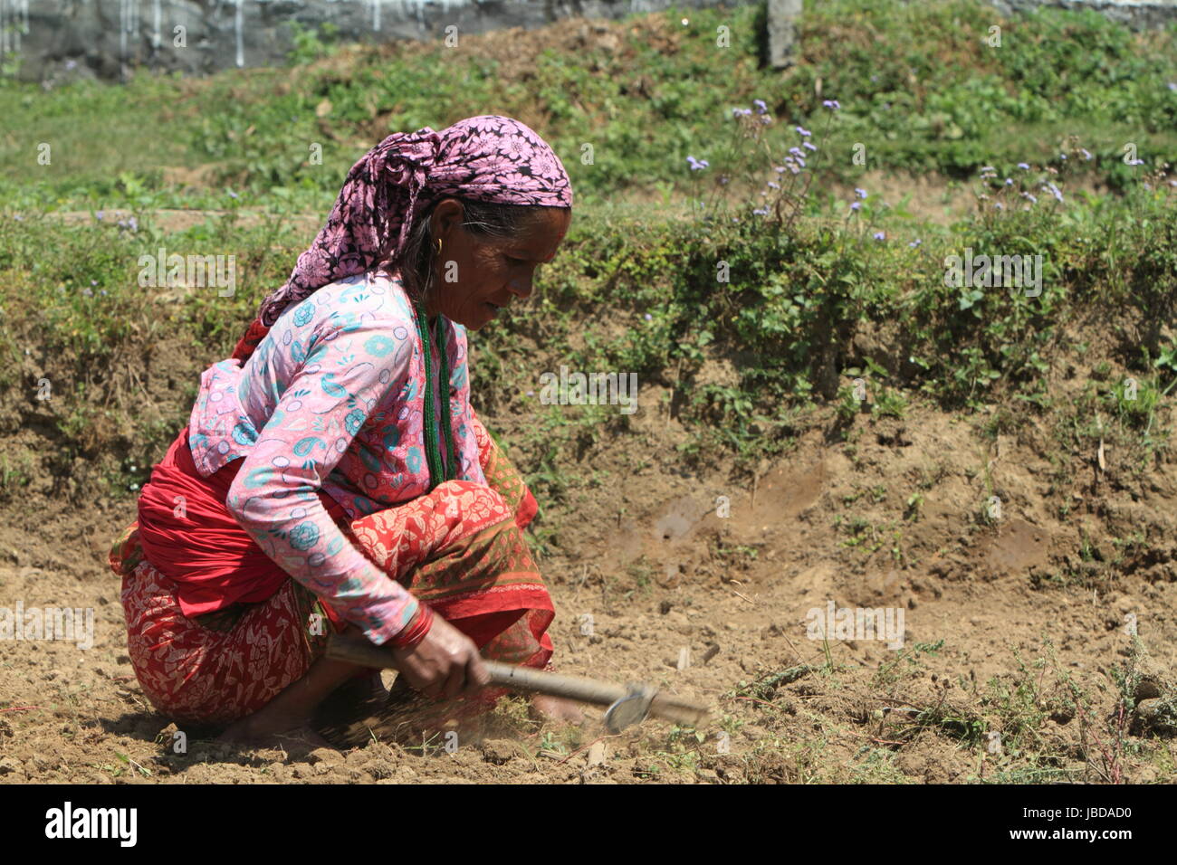 Landfrau hi-res stock photography and images - Alamy