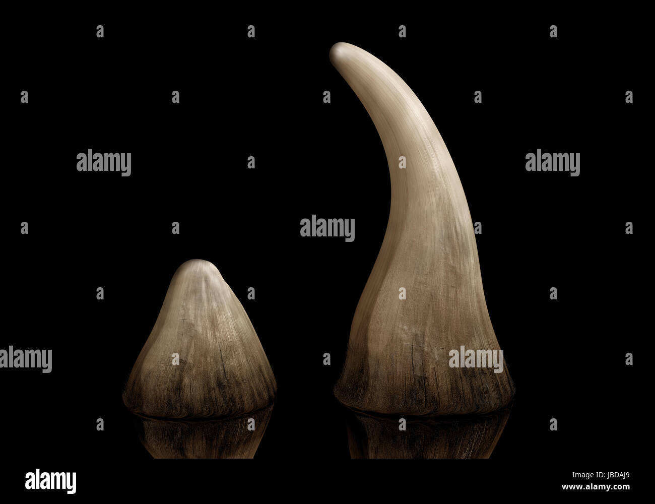 Rhino horn medicine hi-res stock photography and images - Alamy