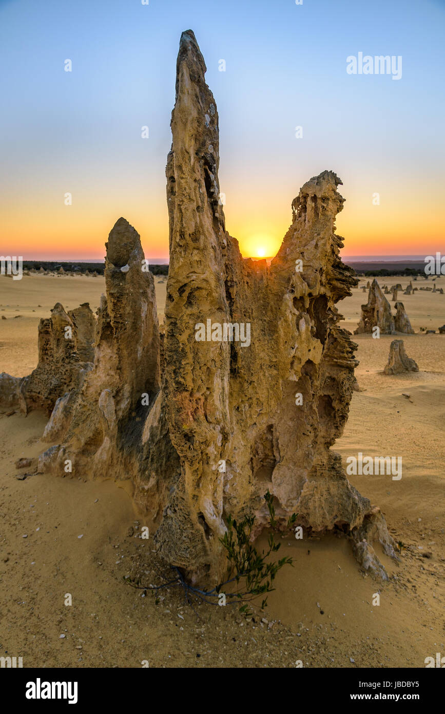 Pinnacle desert hi-res stock photography and images - Alamy
