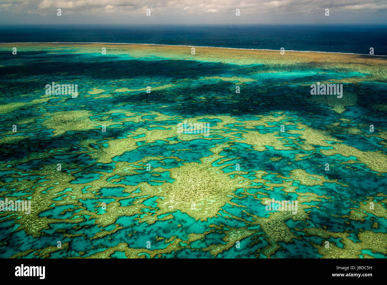 Great Barrier Reef, Queensland Stock Photo - Alamy