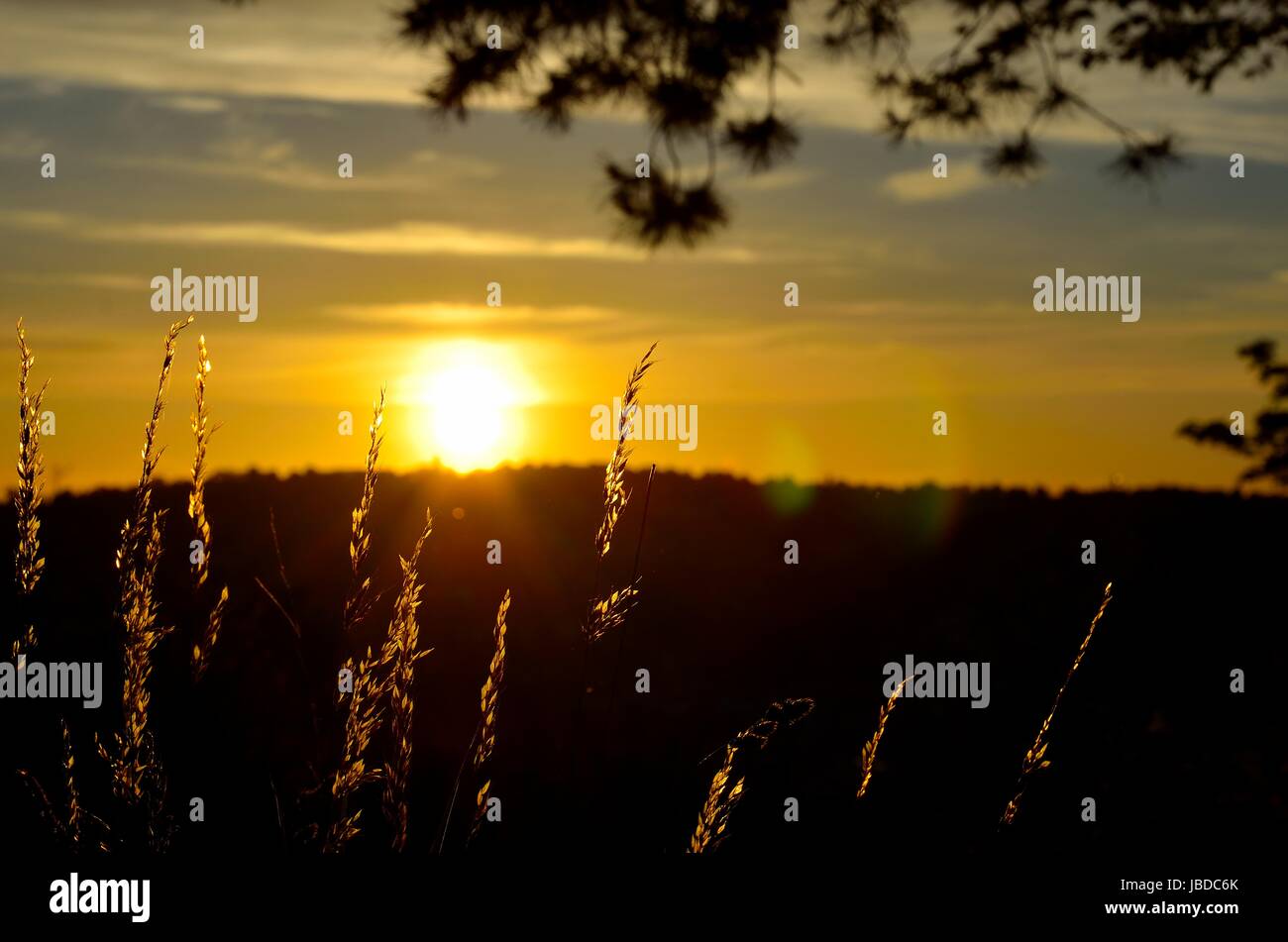 Divine genius hi-res stock photography and images - Alamy