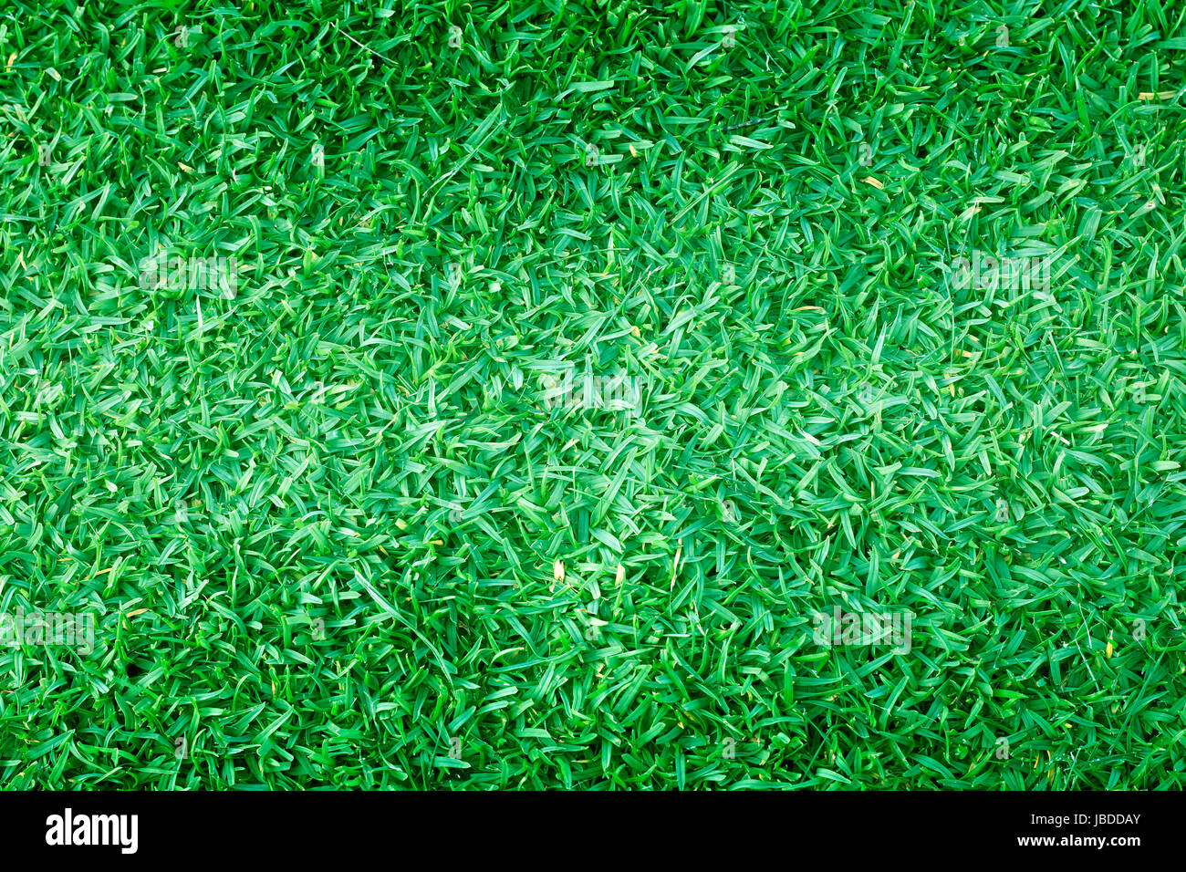 grass background Golf Courses green lawn pattern textured background ...