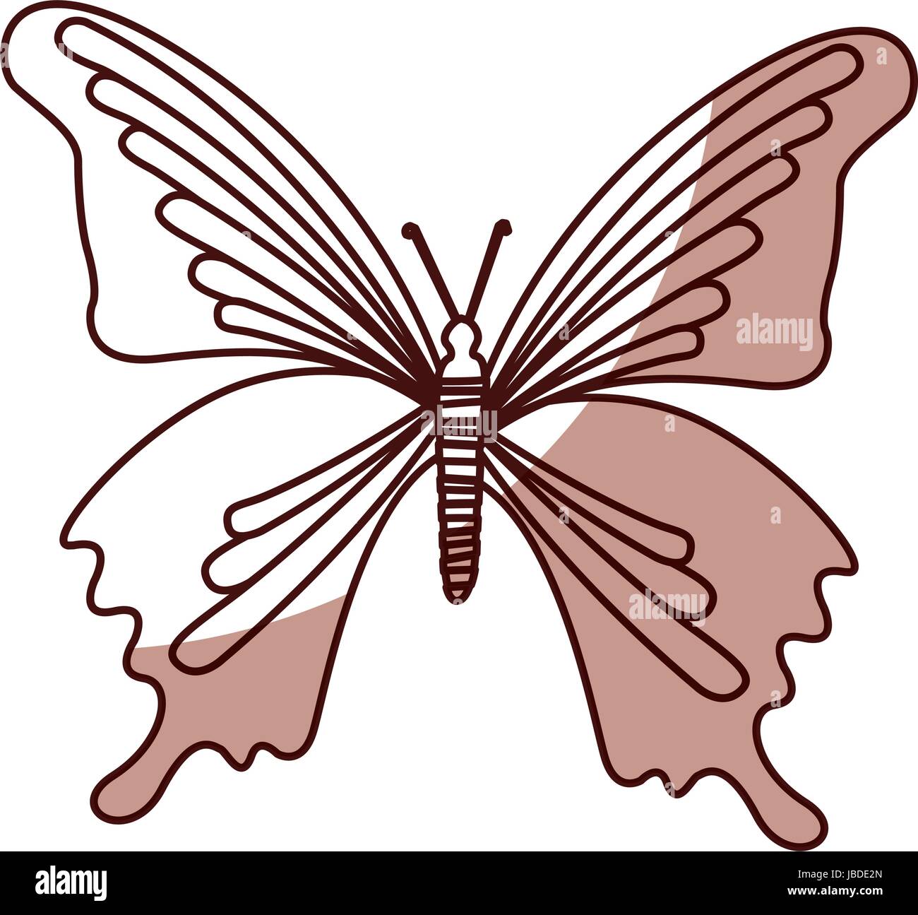shadow butterfly cartoon Stock Vector Image & Art - Alamy