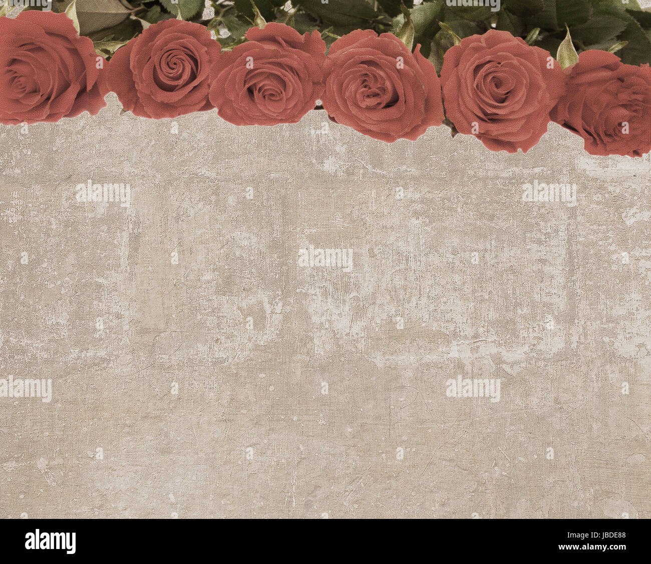 Vintage textured postcard with a one-side frame made of rose flower ...