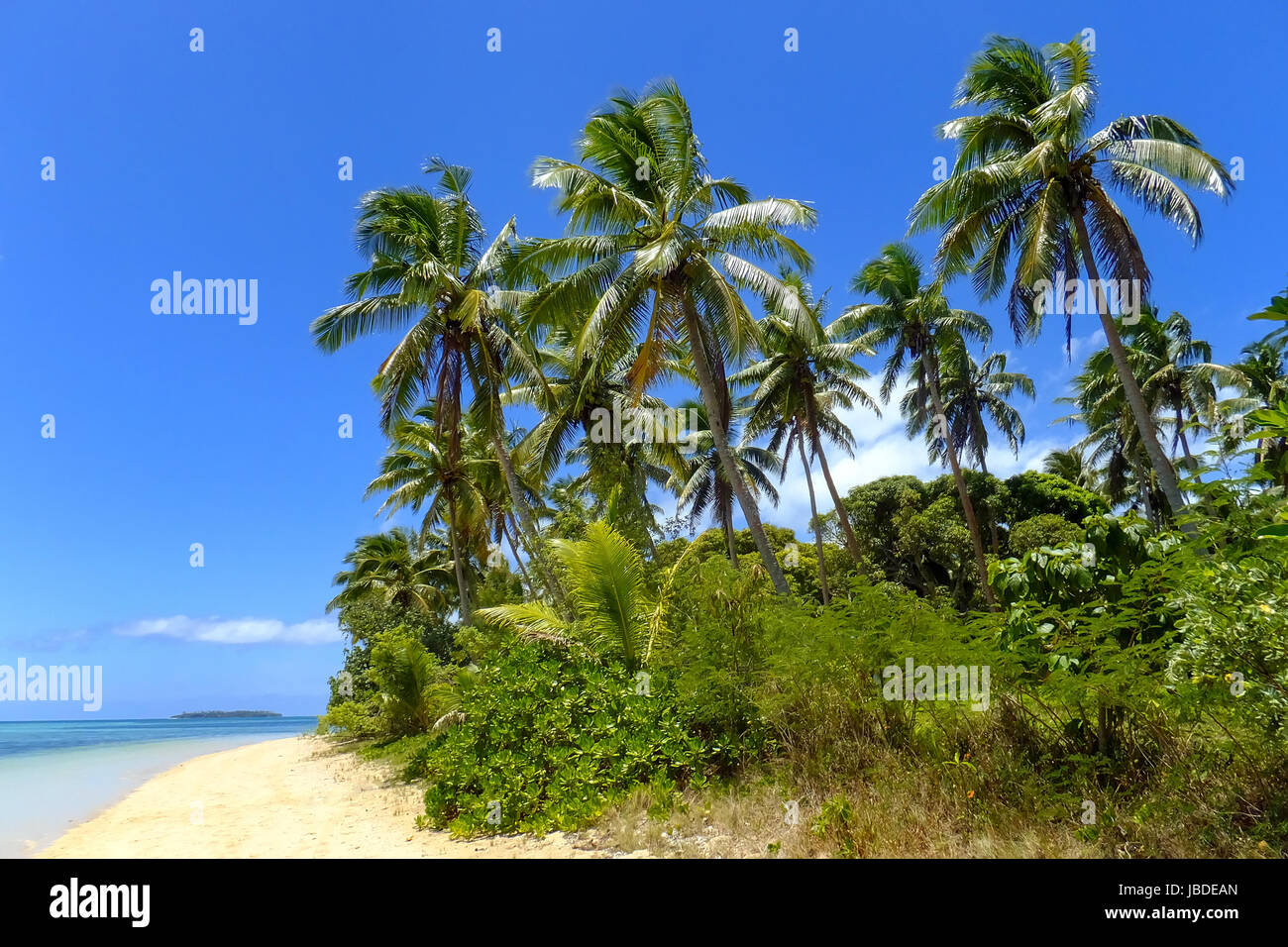 Sandy beach at Pangaimotu island near Tongatapu island in Tonga. Kindom ...