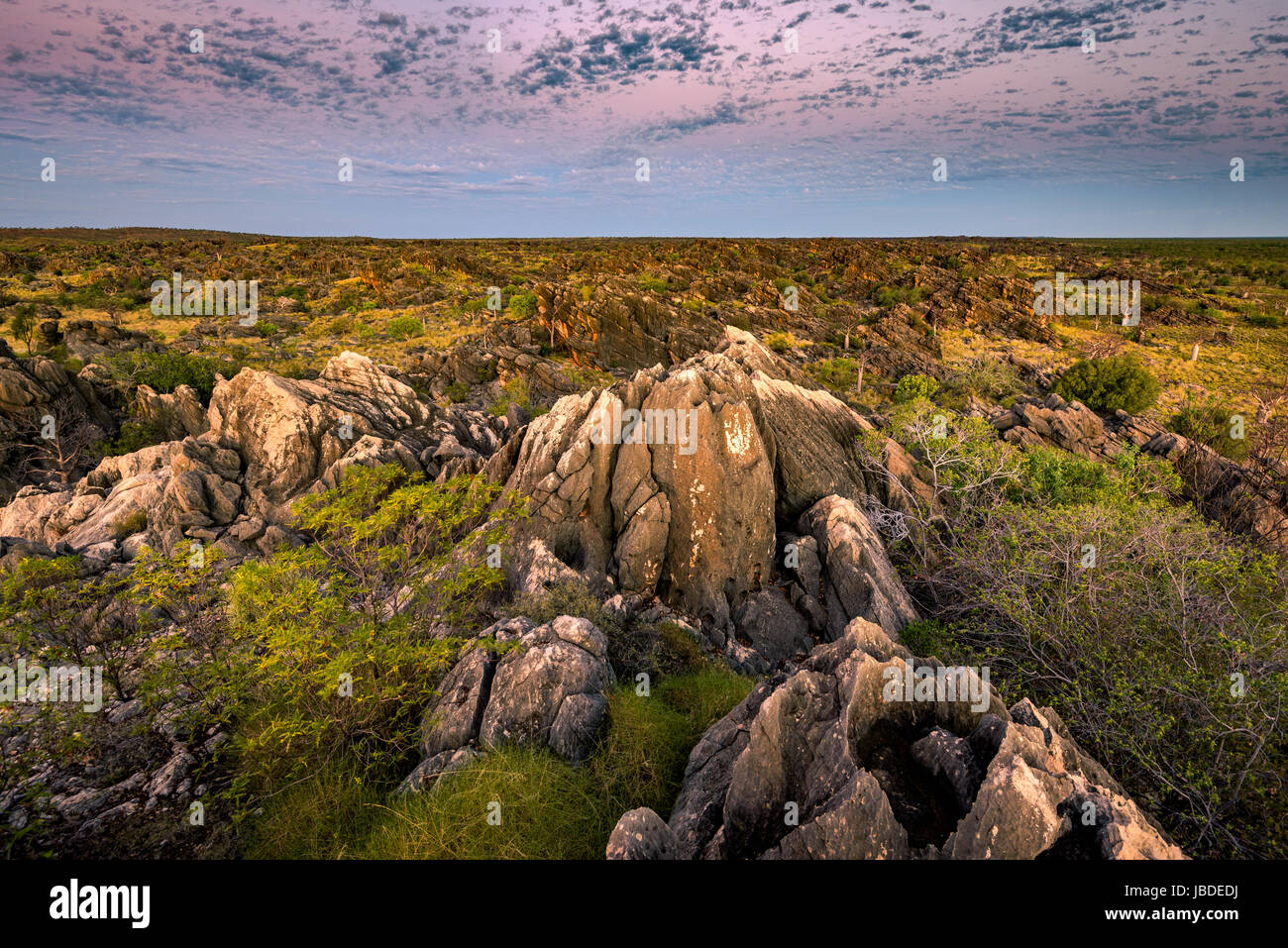 Devonian reef conservation park hi-res stock photography and images - Alamy