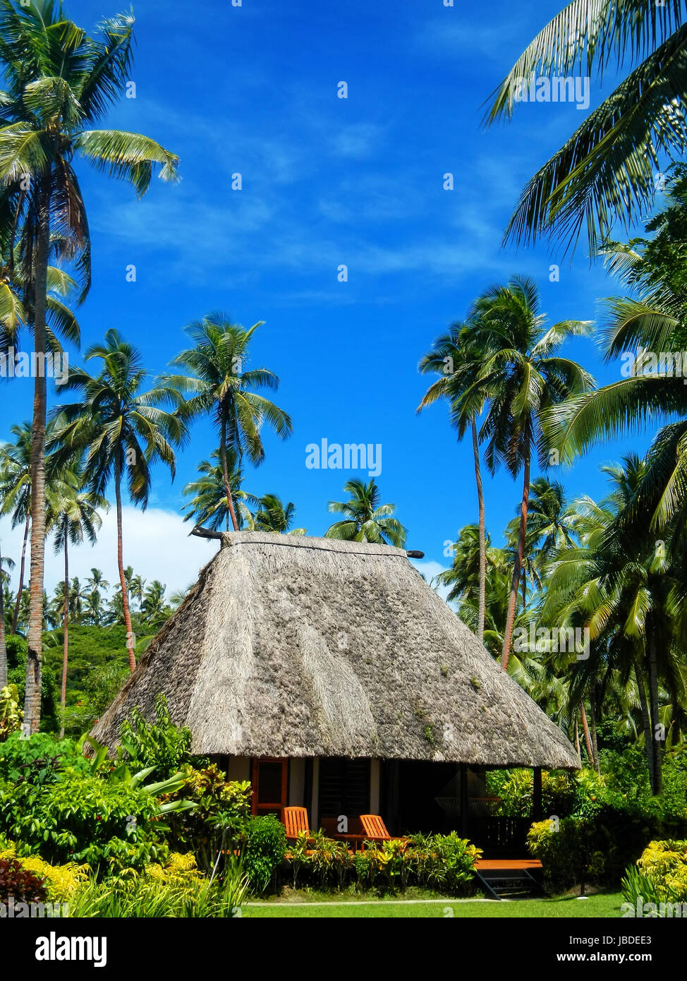 Traditional house with thatched roof on Vanua Levu Island, Fiji. Vanua ...