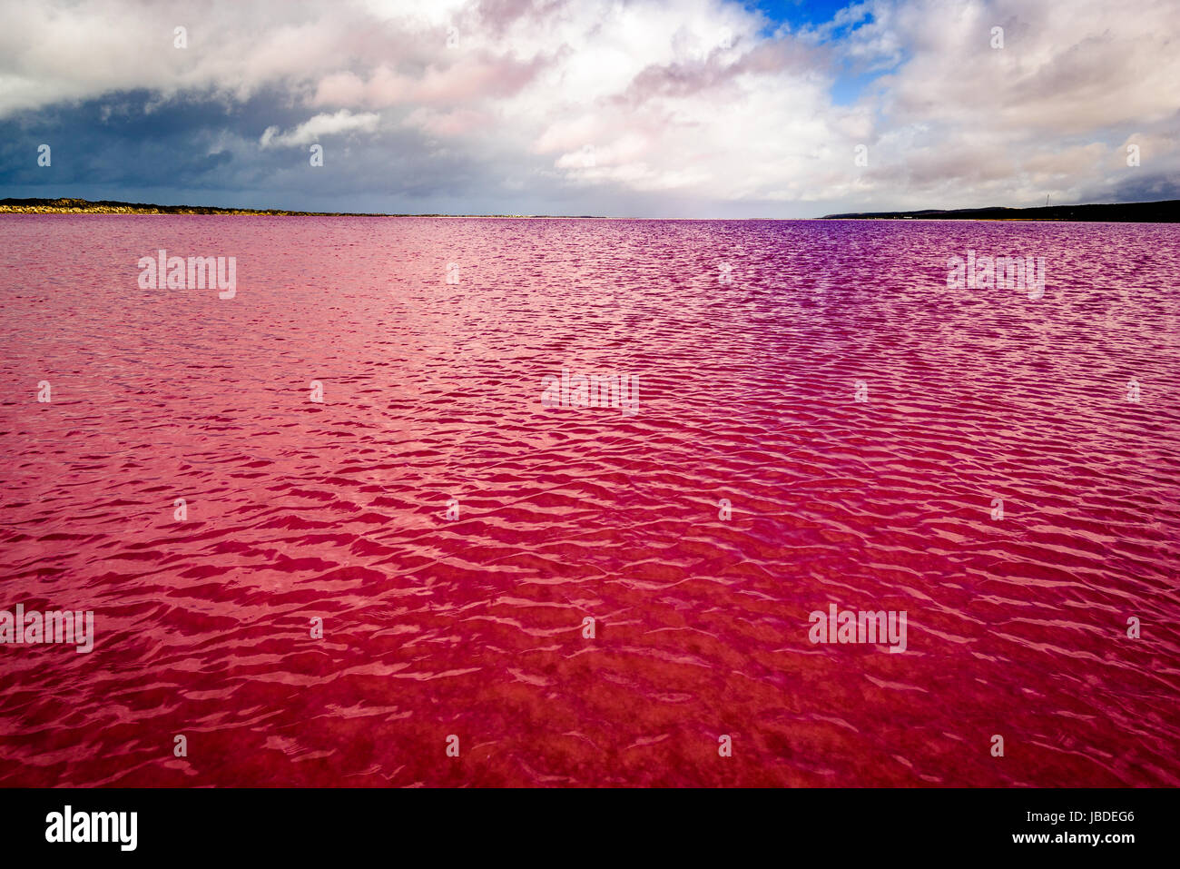 Pink Lake of Hutt Lagoon, Western Australia Stock Photo - Alamy
