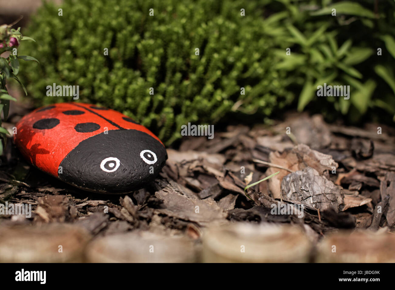 Handmade ladybird made from a painted stone Stock Photo - Alamy
