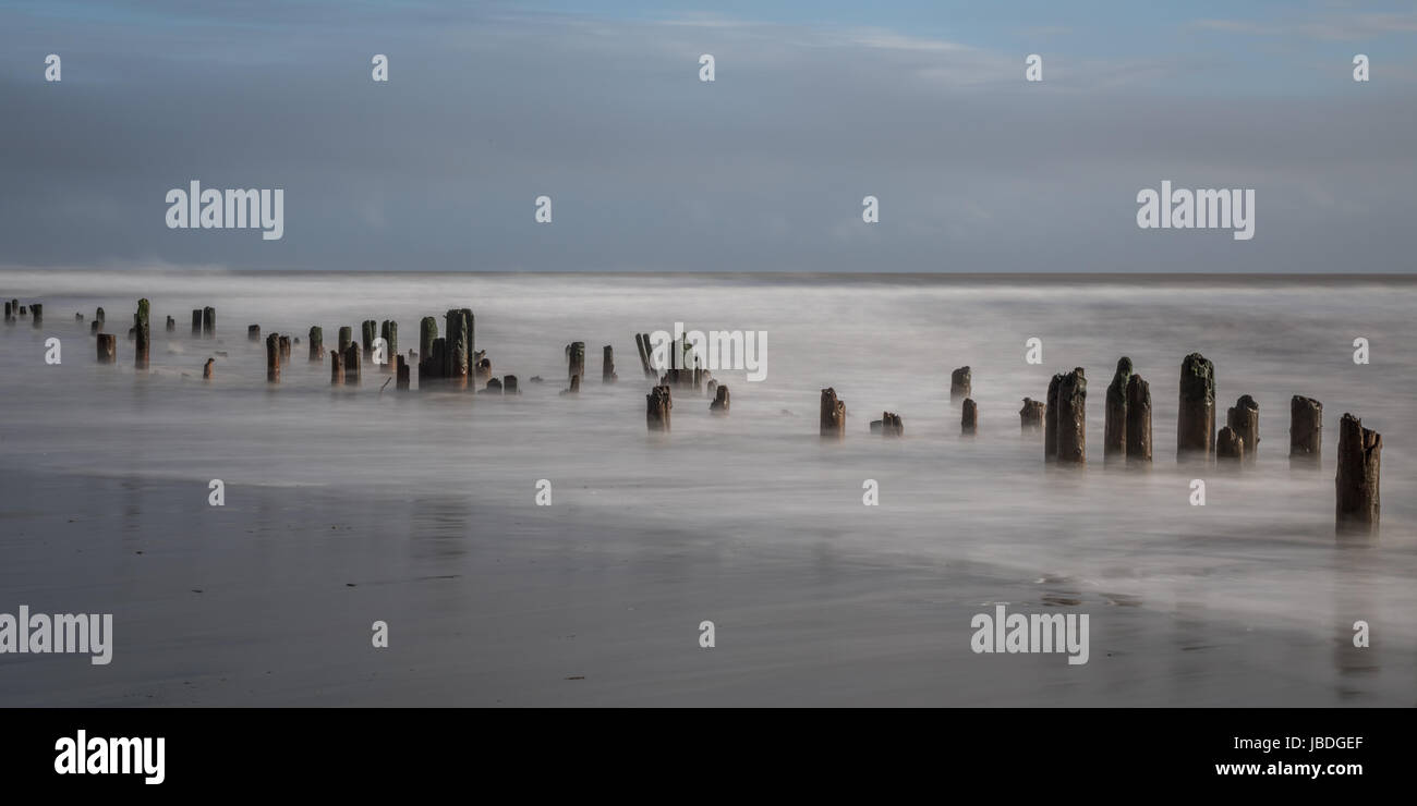 Old Wharf Pilings on Beach in Santa Cruz Stock Photo - Alamy